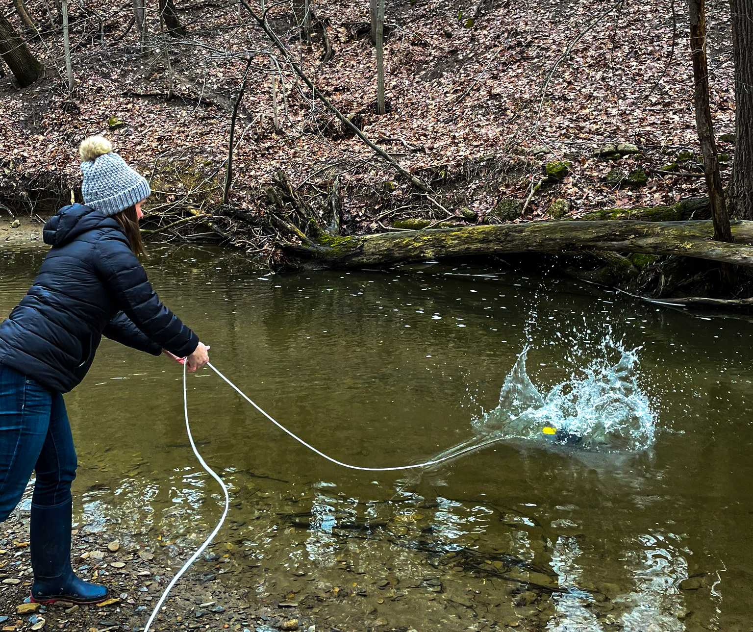 Water Quality – Beta Testing in Cleveland – GaiaXus Environmental Monitors